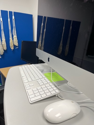 High-density EEG with 3D digitisation | LISN Lab