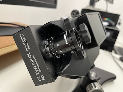 Eye Tracking | LISN Lab